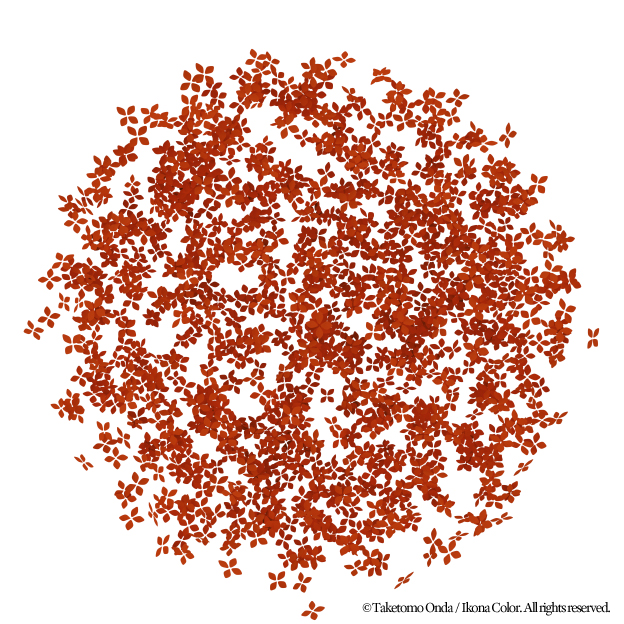 3D Computer Graphics – ikonacolor